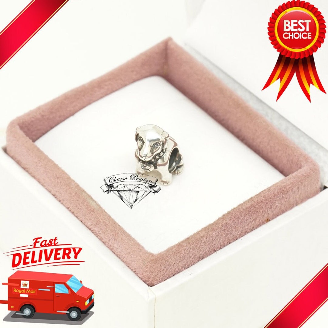 Pandora Labrador Dog Charm, Best Friend, Pet Animal 791379CZ - Etsy
