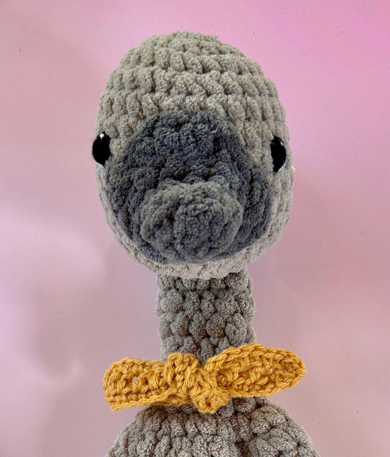 Emu Crochet Pattern: Low Sew Amigurumi Lovey (PDF Pattern) - Etsy