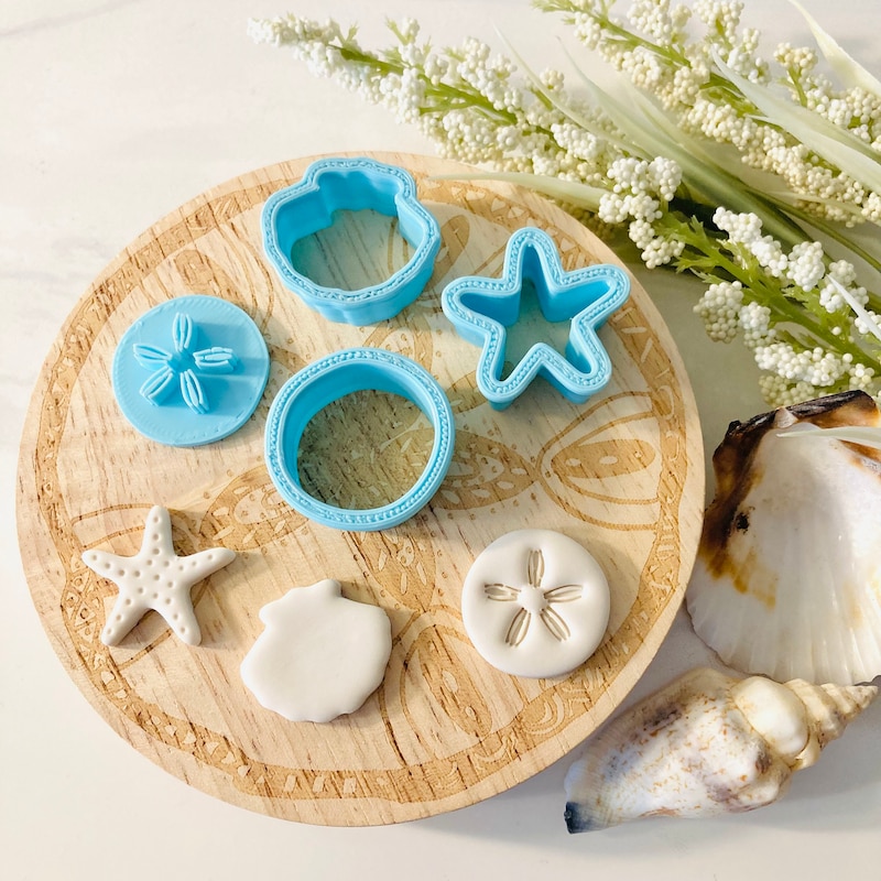 Mini Sea Shells - Etsy