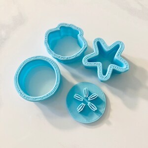Mini Sea Shell Set, Starfish, Clam Shell, Sand Dollar, Under the Sea ...