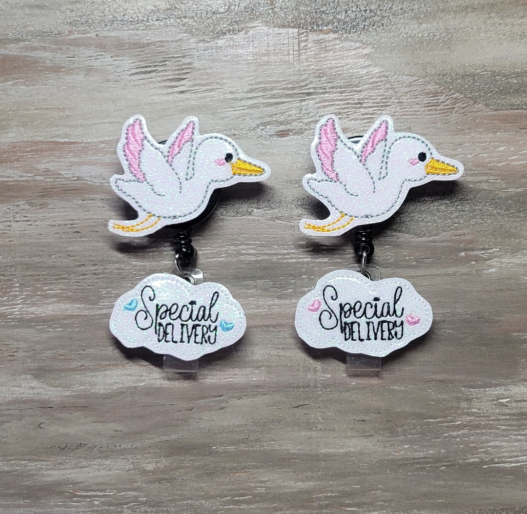 Stork With Special Delivery | Baby | Labor and Deliver | L&D | NICU ...