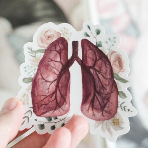 Blooming Organ Sticker Bundle - Etsy