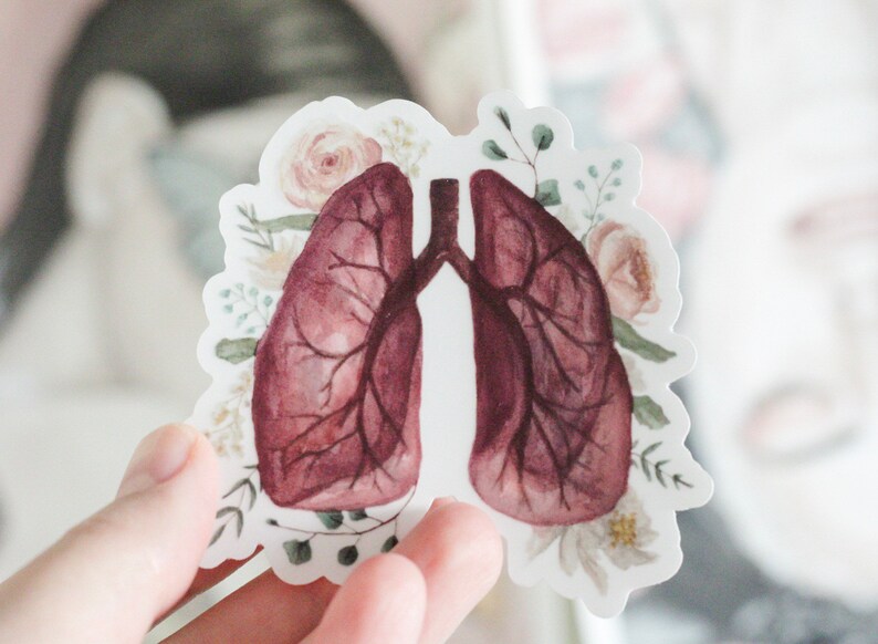 Blooming Organ Sticker Bundle - Etsy