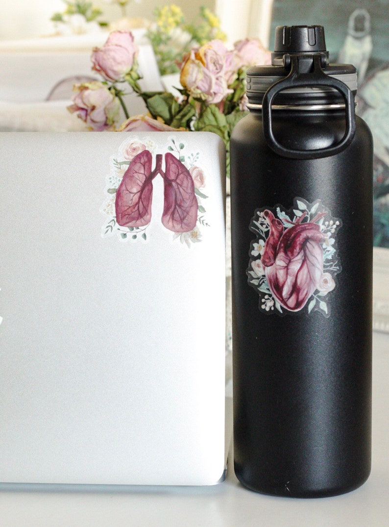 Blooming Organ Sticker Bundle - Etsy