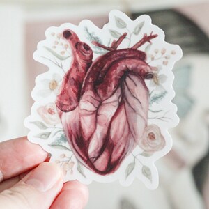 Blooming Organ Sticker Bundle - Etsy