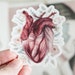 Blooming Organ Sticker Bundle - Etsy