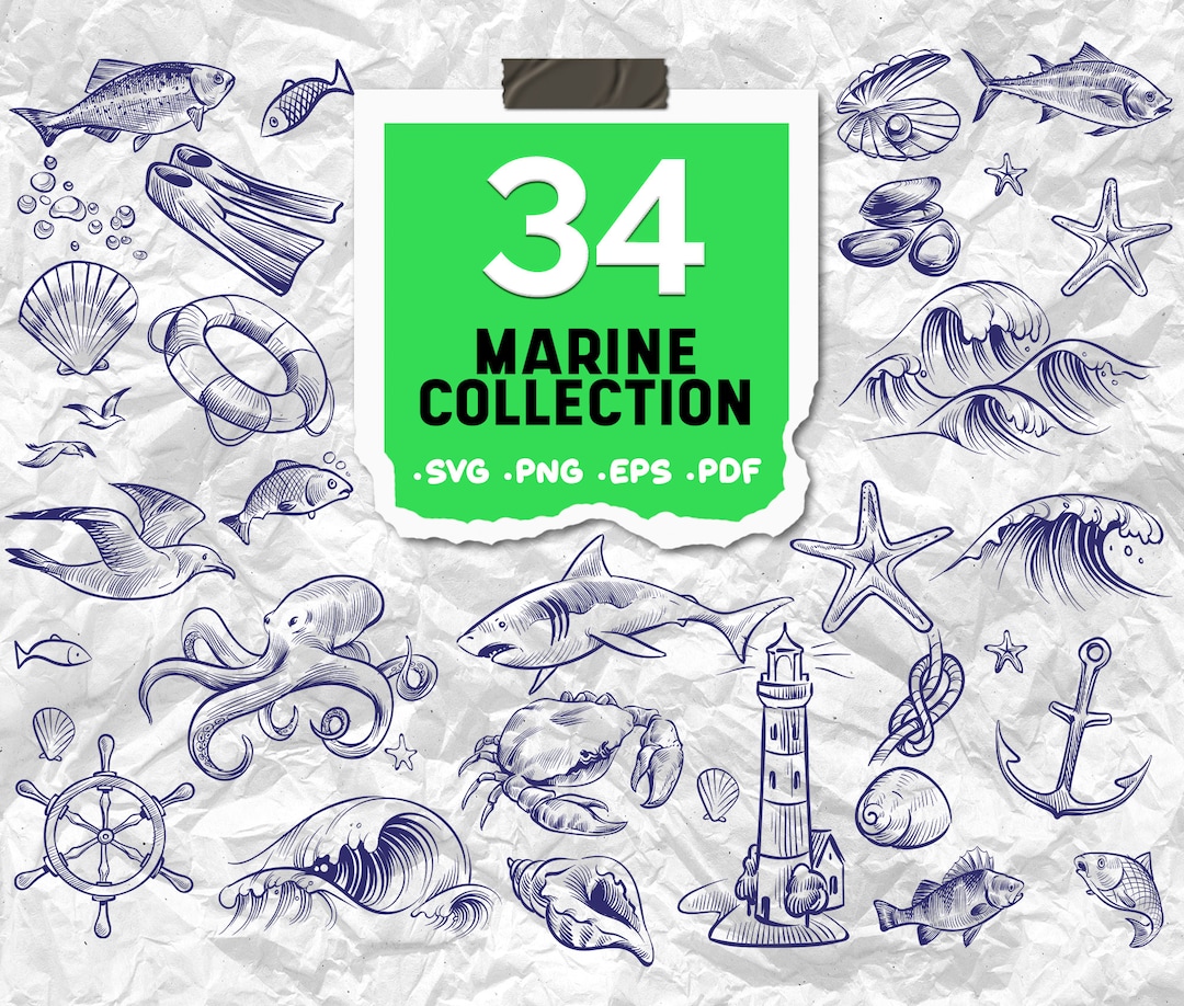 Marine Collections Svg, Sea Svg,vintage Nautical, Nautical Marine ...