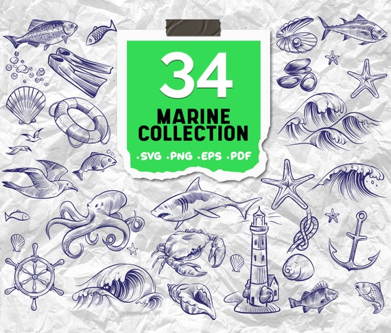 Marine Collections Svg Sea Svgvintage Nautical Nautical - Etsy