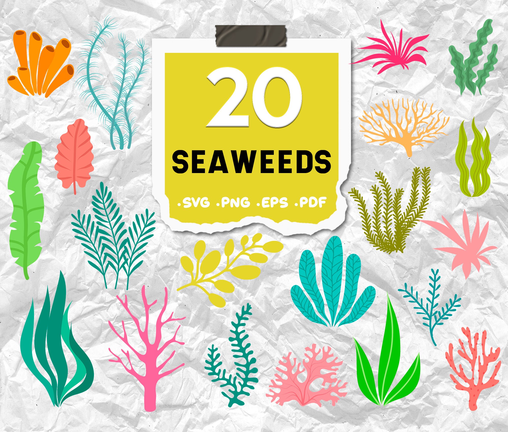 Seaweed Svg,under the Sea, Seaweed, Coral, Bubbles Svg,plants Svg,sea ...