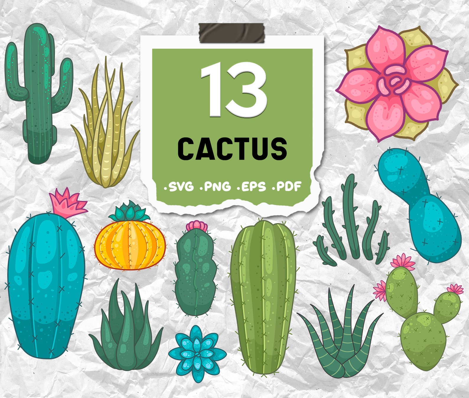 Cactus Svgcactus Clipartsucculent Svgcacti Svgplants - Etsy