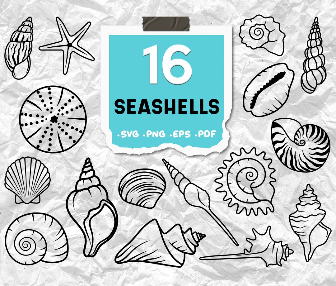 Seashell Svg,shell Svg,seashell Clipart,clam Svg,scallop Svg,ocean Svg ...