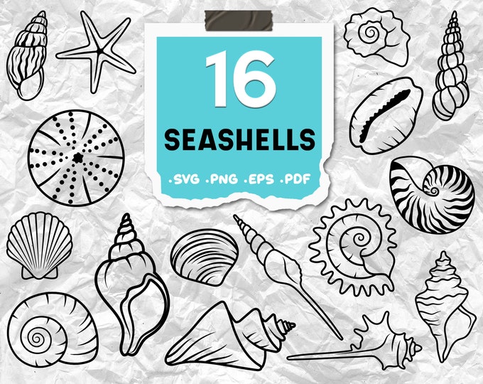 Seashell SVG/ Shell Svg/ Seashell Clipart/ Clam Svg/ Scallop Svg/ Ocean ...