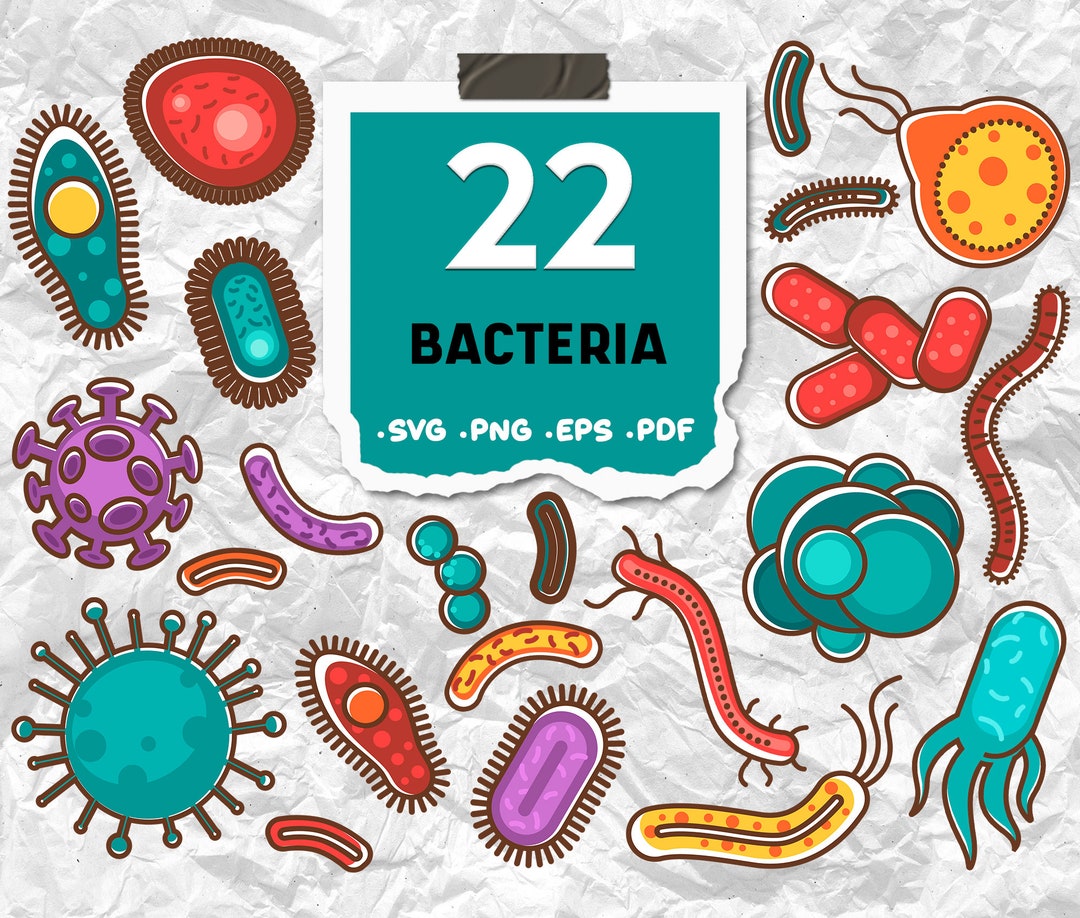 Bacteria Svg,bacteria Clipart Collection, Bacteria SVG Bundle, Bacteria ...