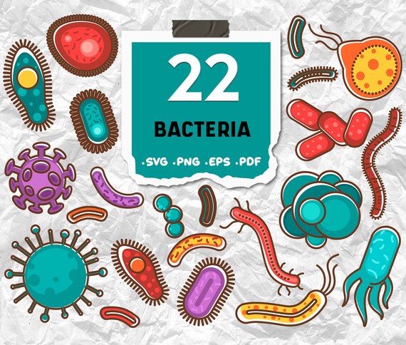 Digital Bacteria svg,Boilogy svg,Bacteria Clipart Collection,Virus svg ...