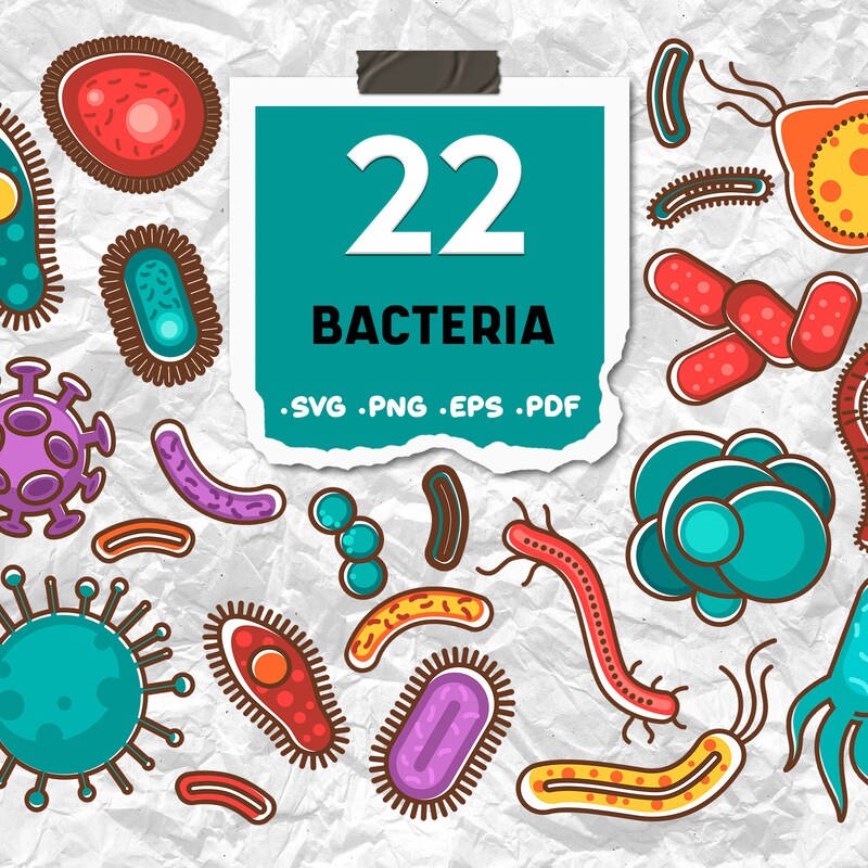 Buy Bacteria Svg Online In India - Etsy India