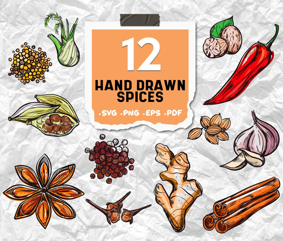 Hand Drawn Spicies Svg,spicies Svg, Hot Pepper Svg,chili Pepper Svg ...