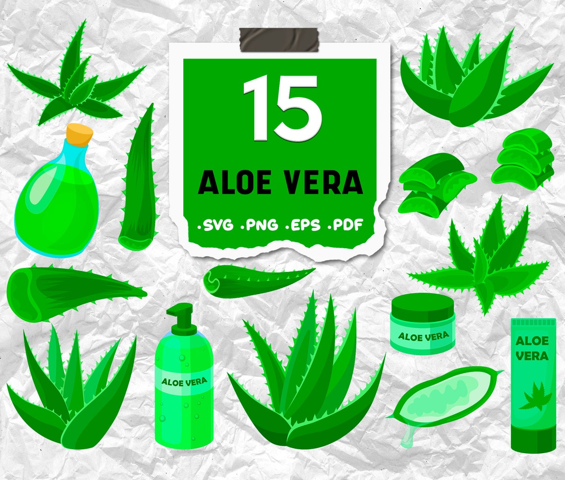 Aloe Vera Svg,aloe Vera Digital Clip Art,aloe Vera Svg,cosmetic Svg ...