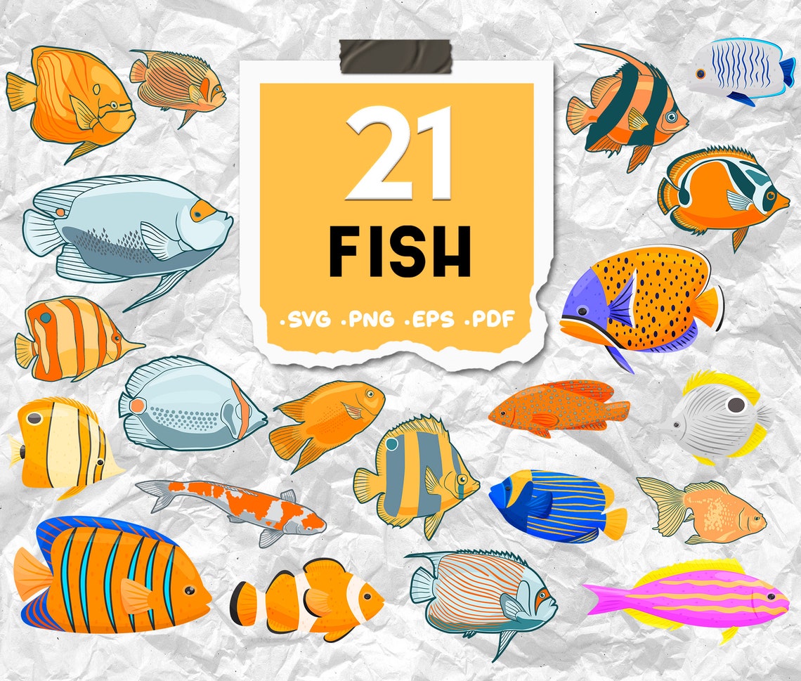Fish Svgfish Svgfishing Svgsea Svg Ocean Clipart Colorful - Etsy