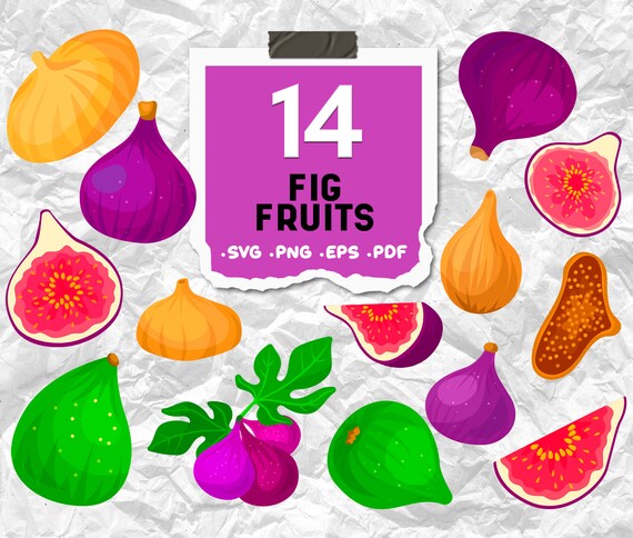 Fig Svg Fig Fruit Svg Fig Fruits Svgfig Clip Art Pack Fig - Etsy
