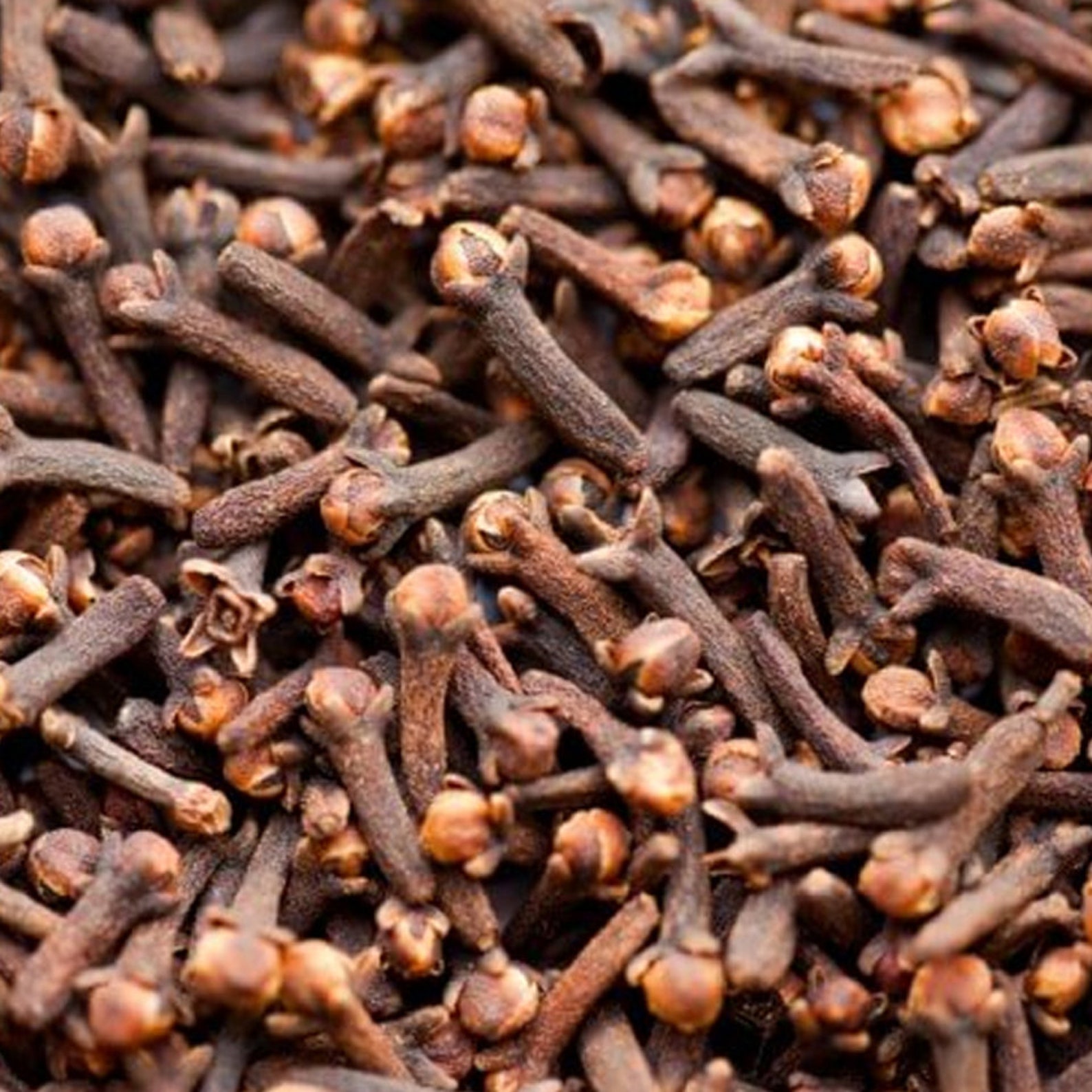 Pure organic dried clove whole pods natural essential spice | Etsy