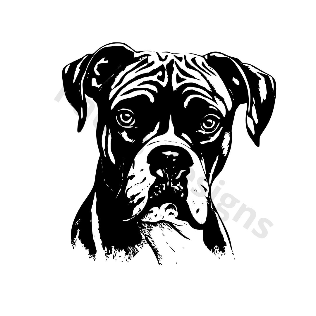 Boxer SVG - Etsy