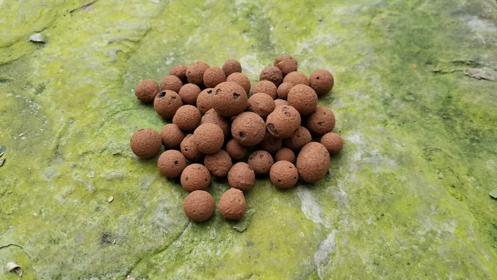 Clay Balls Drainage Layer for Bioactive Habitats and - Etsy