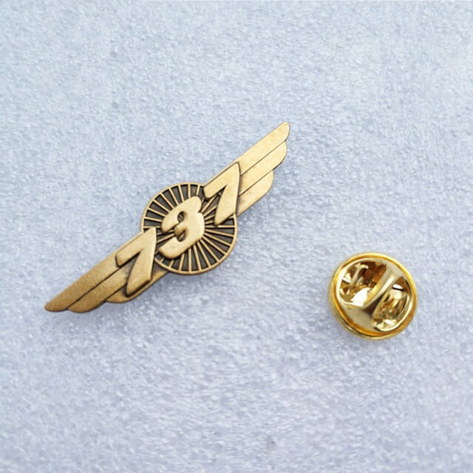 Boeing 737 WINGS Pin, Wings, Aviation Pin, Aircraft Pin, Airbus Pin ...