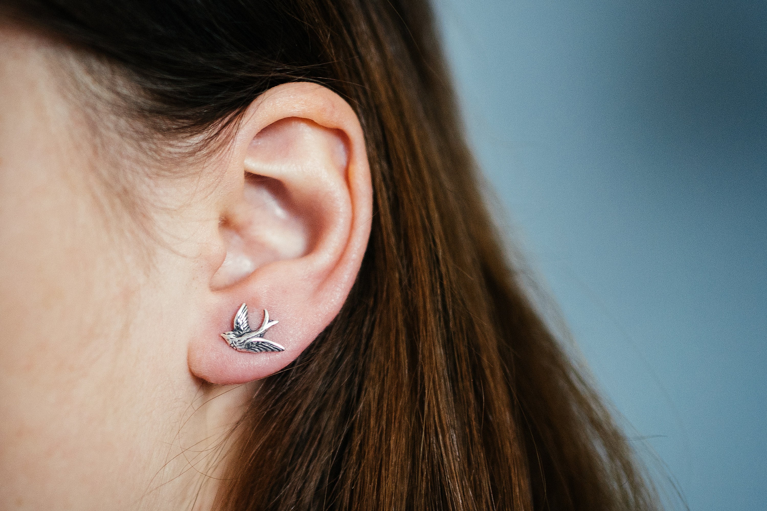 Swallow Stud Earrings. Sterling Silver. Dainty Sparrow Studs. | Etsy