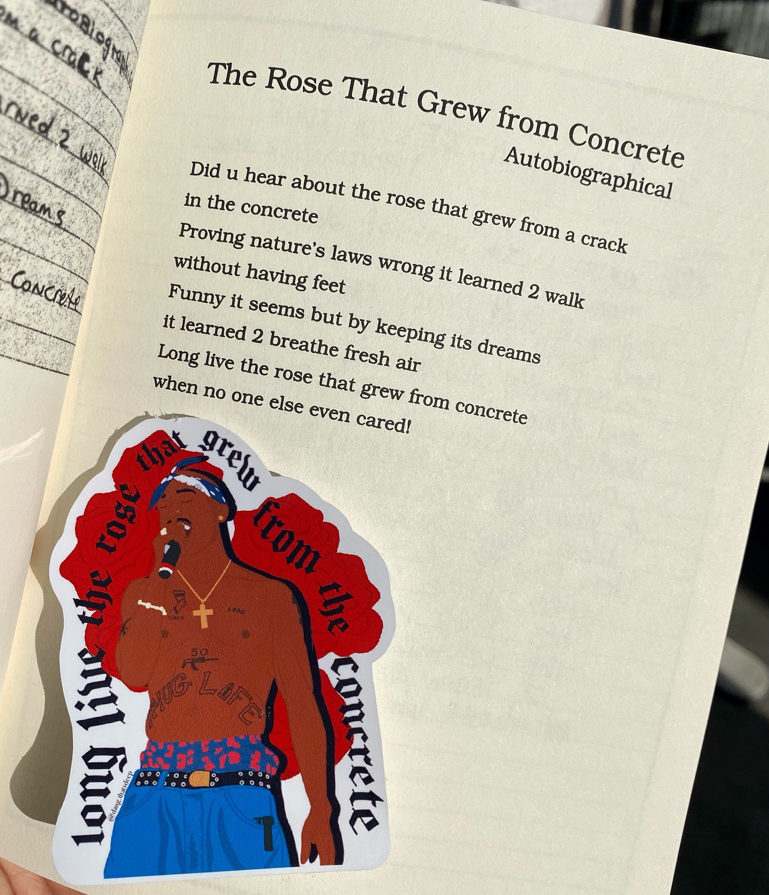 The Rose That Grew From Concrete Book Cover