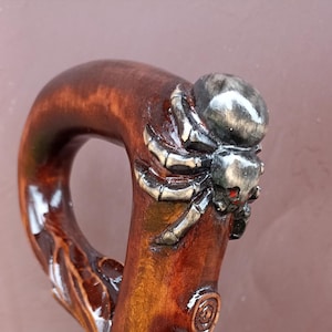 weird walking sticks