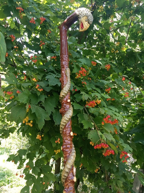 Wooden Cane Eagle and Snake Carved Handle and Staff Wood | Etsy