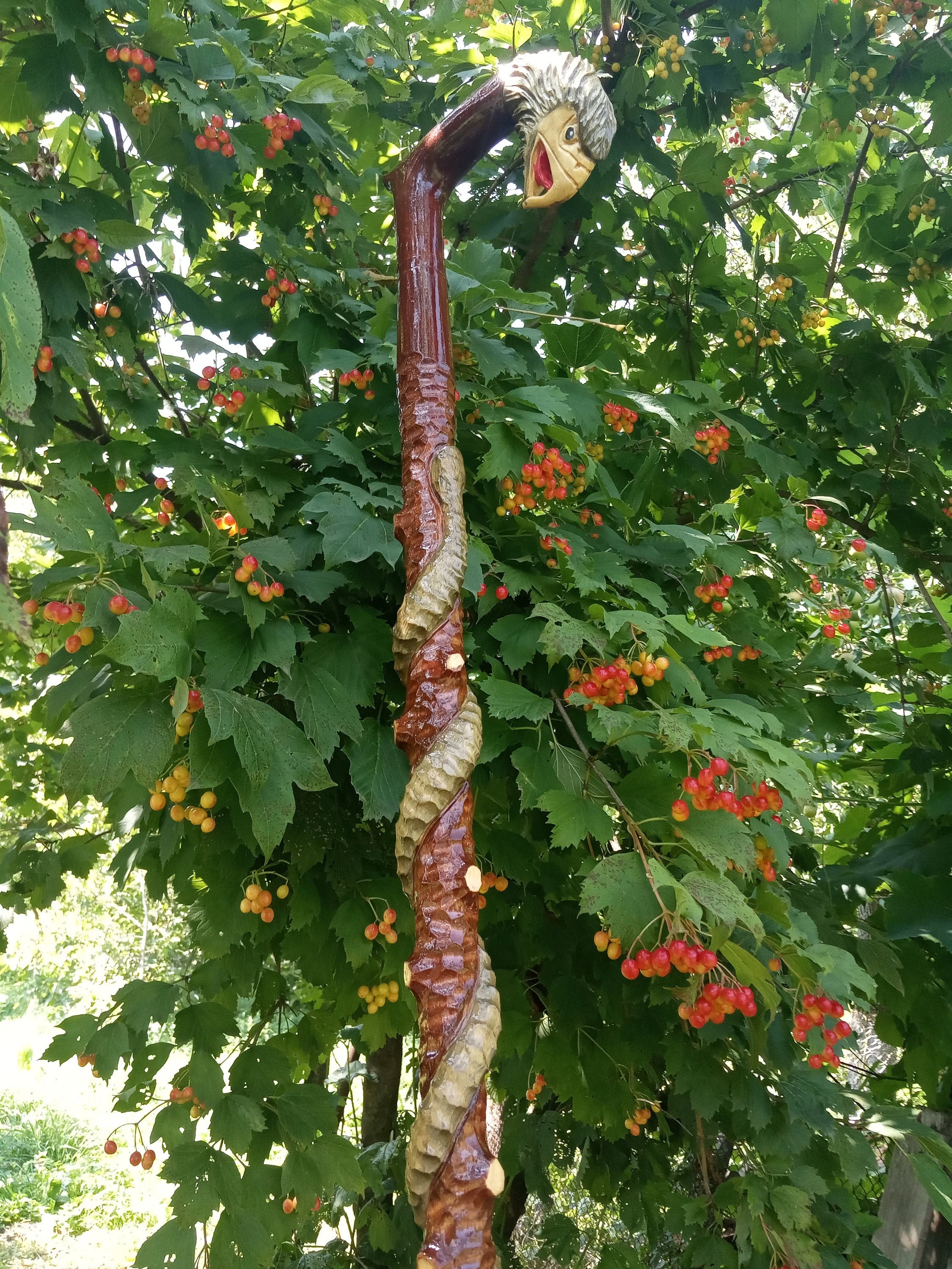 Wooden Cane Eagle and Snake Carved Handle and Staff Wood Walking Stick ...