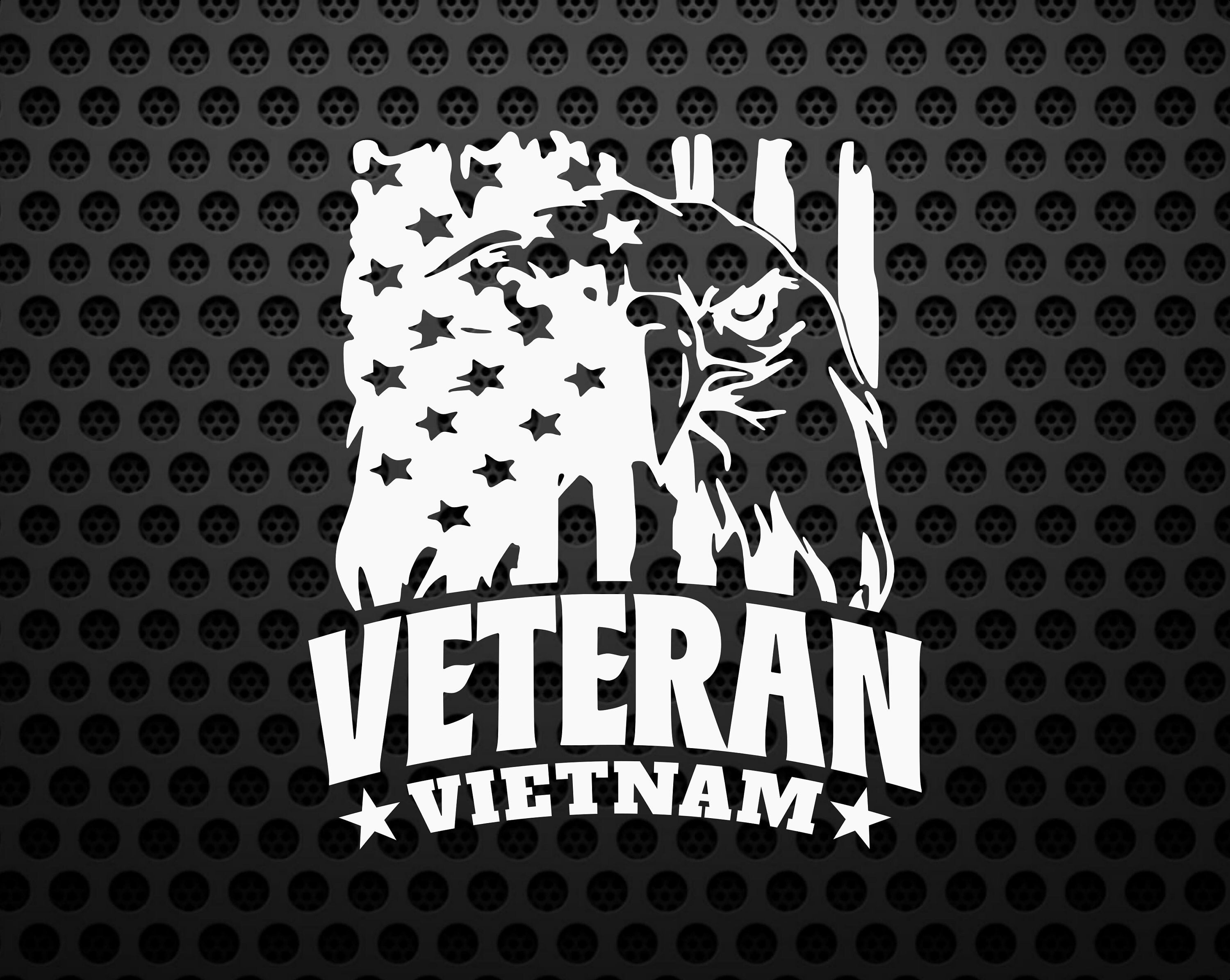 Vietnam Veteran War Eagle Vinyl Decal Car Truck Window, Mirror, Trailer ...
