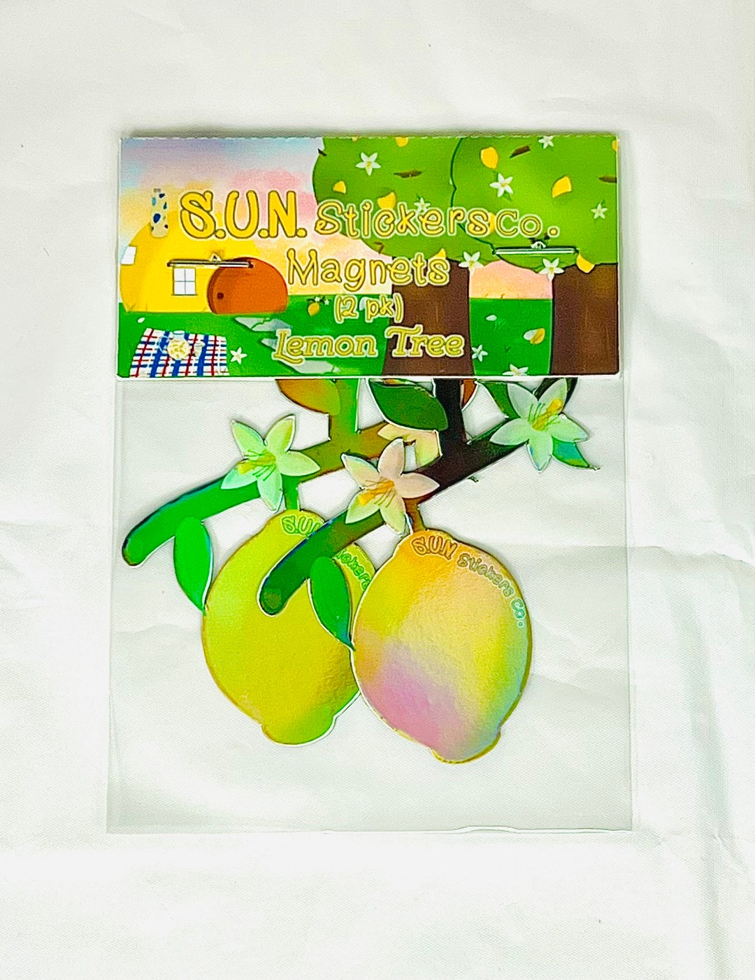 Ultra Slim Holographic Magnet 2 Pack; Thin Magnets; Lemon Tree Magnets ...