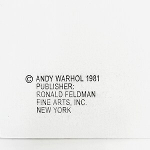 Andy Warhol Double Mickey Mouse Silkscreen - Etsy