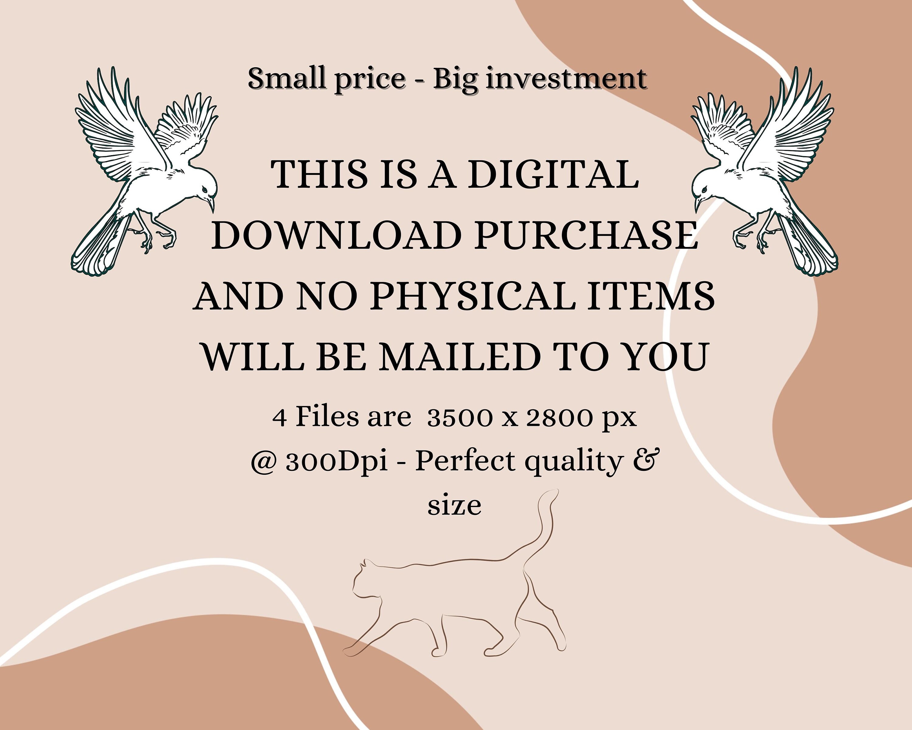 4 Digital Download Size Chart's, Bella Canvas 3001, Male Model Sizing ...