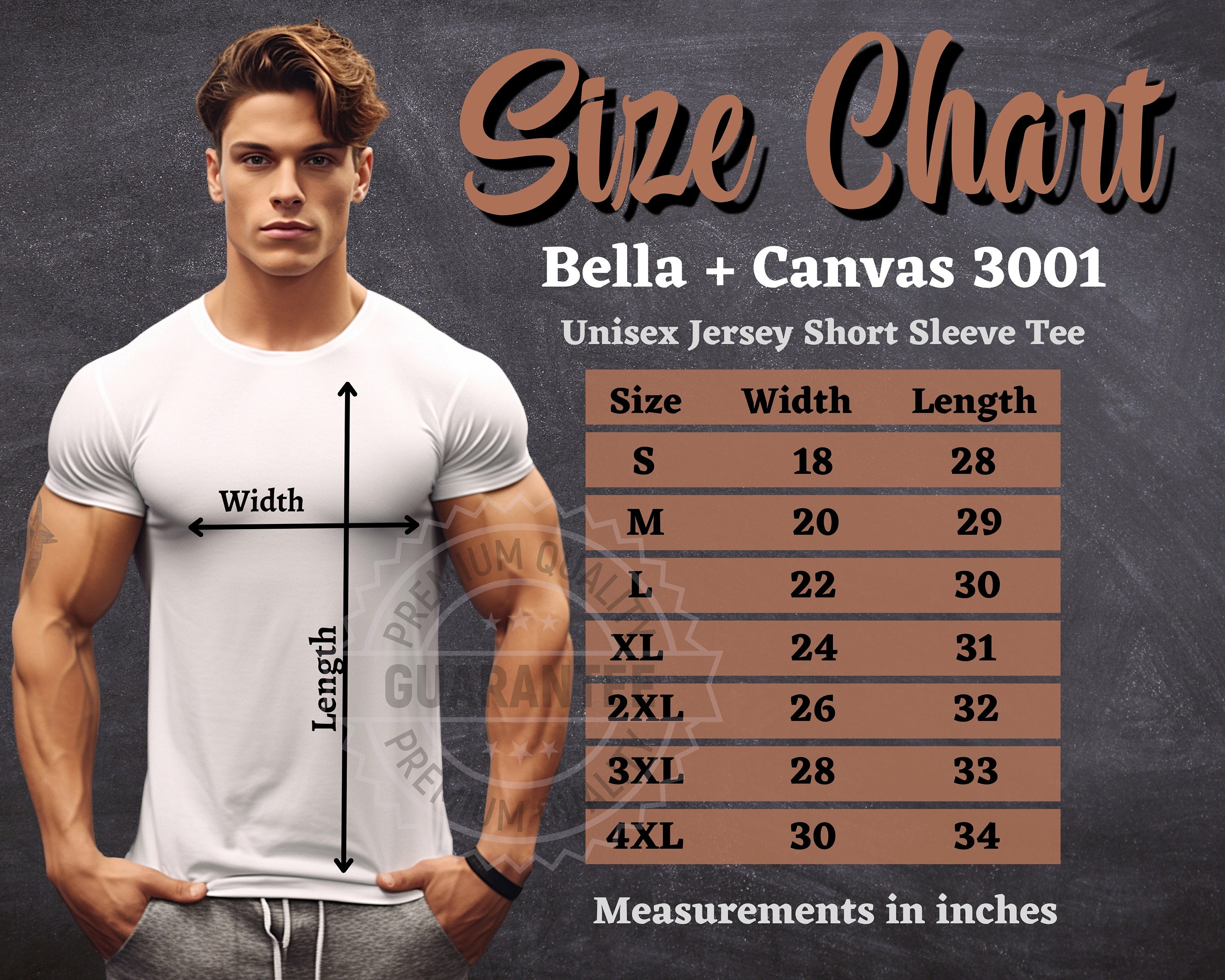 Digital Download Size Chart, Bella Canvas 3001, Male Model Sizing Chart ...