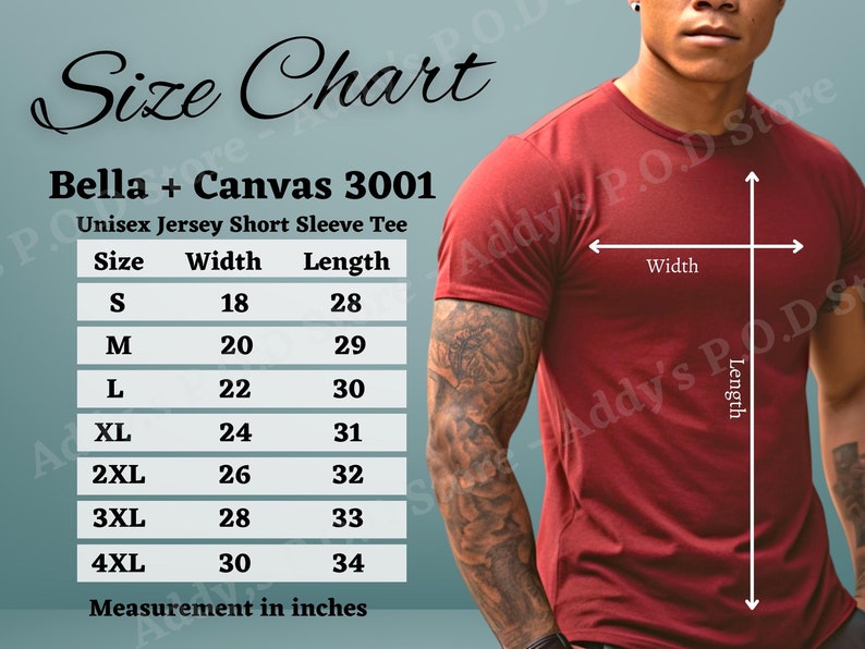 Digital Download Size Chart Bella Canvas 3001 Male Model - Etsy