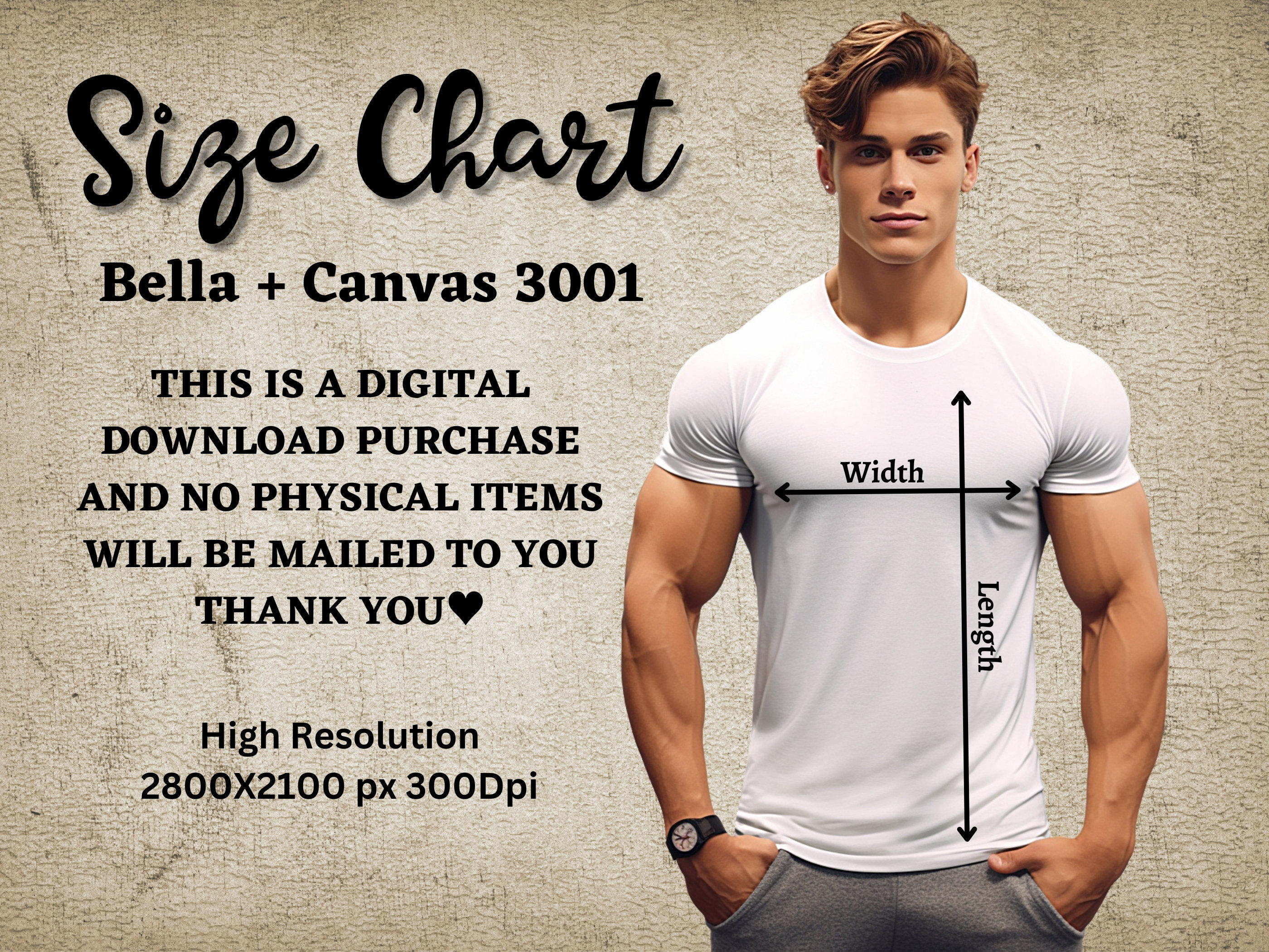 Digital Download Size Chart, Bella Canvas 3001, Male Model Sizing Chart ...