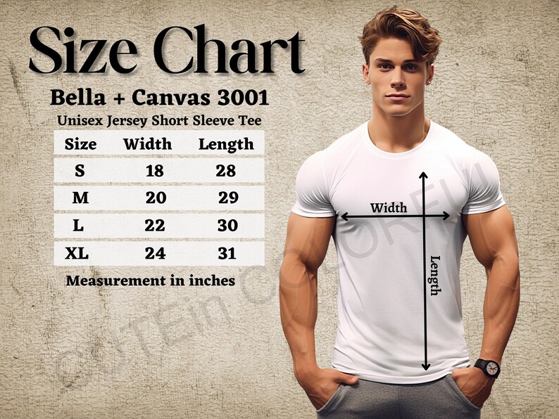 Digital Download Size Chart, Bella Canvas 3001, Male Model Sizing Chart ...