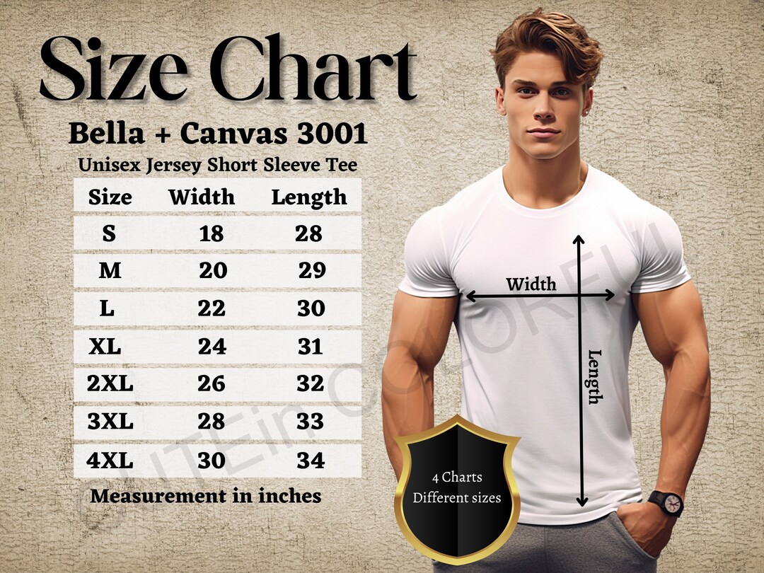 Digital Download Size Chart, Bella Canvas 3001, Male Model Sizing Chart ...