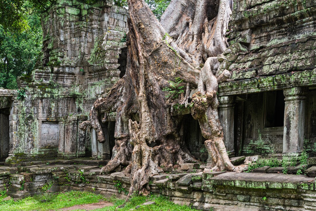Ta Prohm Temple Print, Angkor Wall Art, Angkor Wat Canvas, Cambodia ...