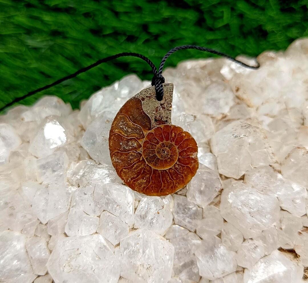 Ammonite Fossil Shell Necklace, Real Ammonite Necklace, Nautical ...