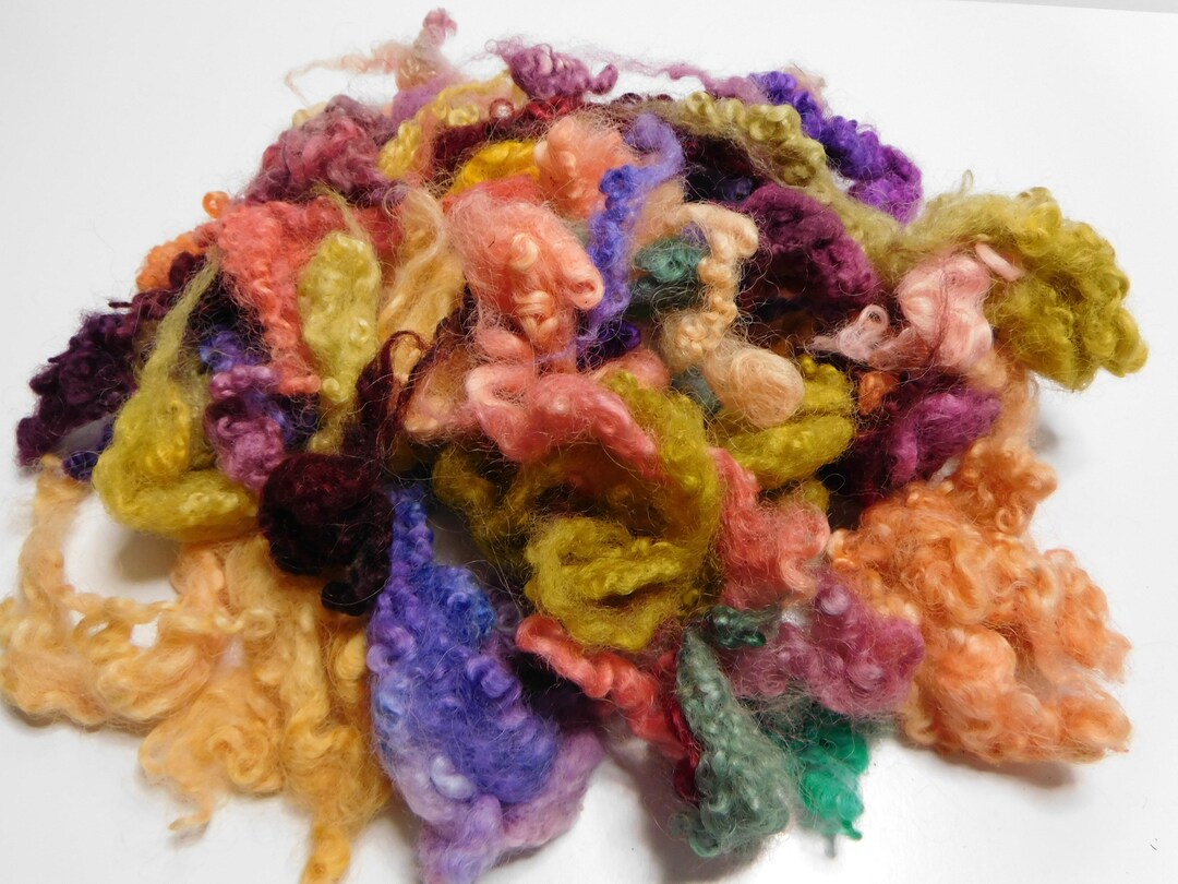 Border Leicester Locks and Fleece, Hand Dyed, US Small Farm Fresh, for ...