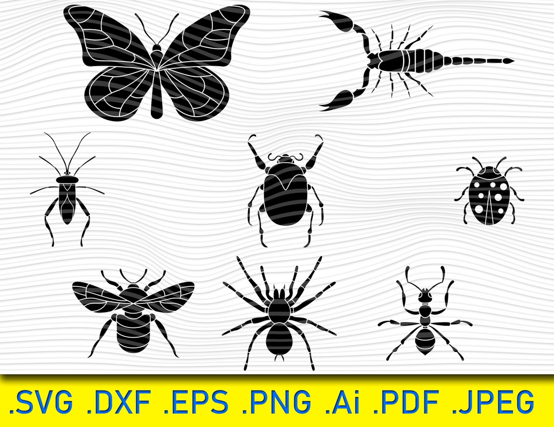 Insect Svg, Bug Svg, Insects Svg, Insect Clipart, Dragonfly Svg, Svg ...