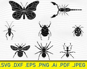 Insect Die Cut | Etsy