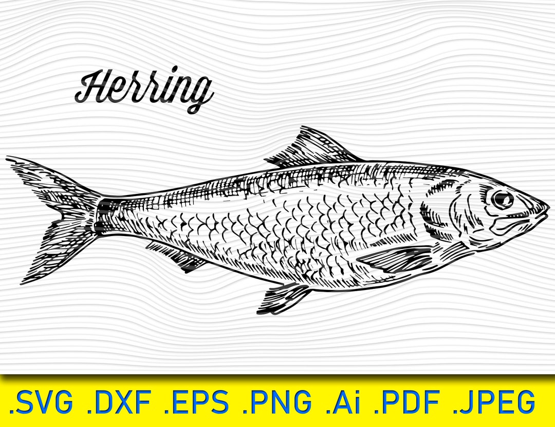 Realistic Fish, Herring SVG, Fishing Svg, Fish Svg, Fishing Files for ...
