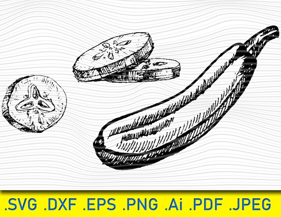 Squash Svg SQUASH SVG Clipart Kürbis Kürbis Squash Herbst - Etsy Schweiz