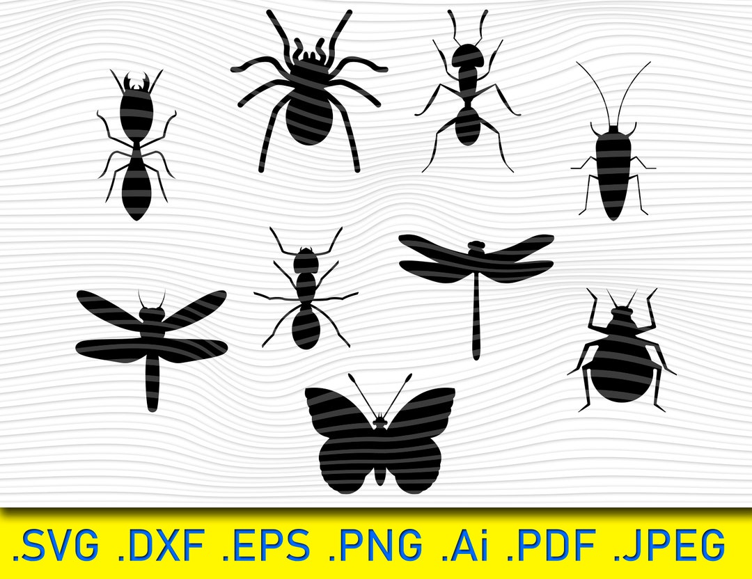 Insect Svg, Bugs Svg, Ant, Spider, Cockroach, Dragonfly Svg, Decal ...