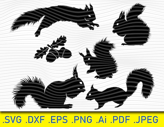Squirrel SVG Bundle Squirrel SVG Squirrel Clipart Cut Files | Etsy